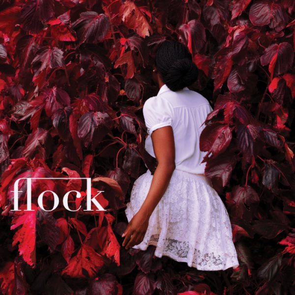 Lit Mag Adoption - Community of Literary Magazines and Presses