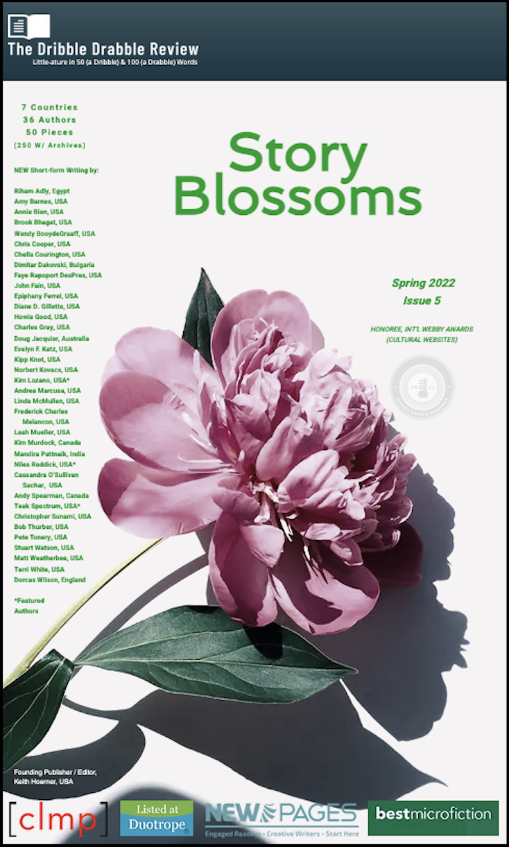 April 2022 Roundup of Member Magazines - Community of Literary ...