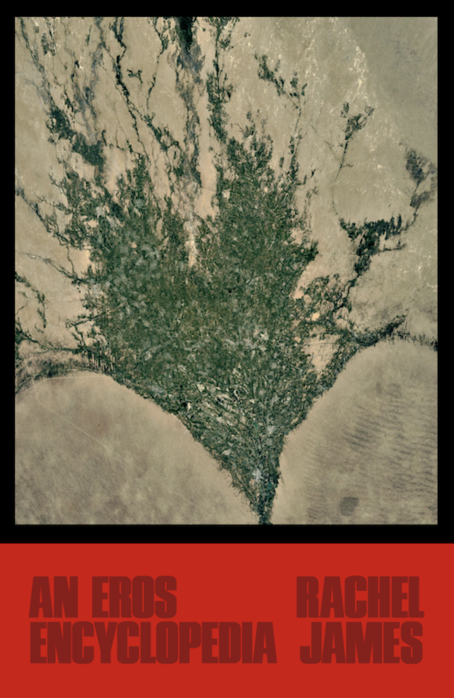 Books Launching in September 2022 - Community of Literary Magazines and ...