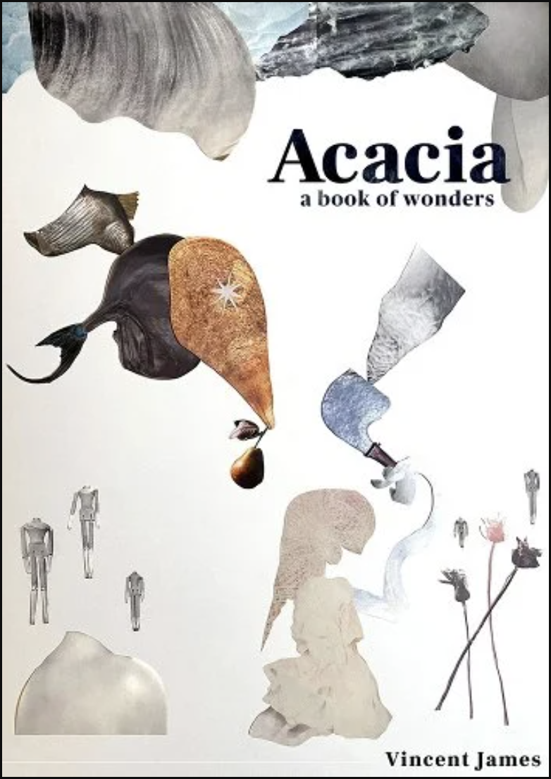 Books Launching in June 2023 - Community of Literary Magazines and Presses