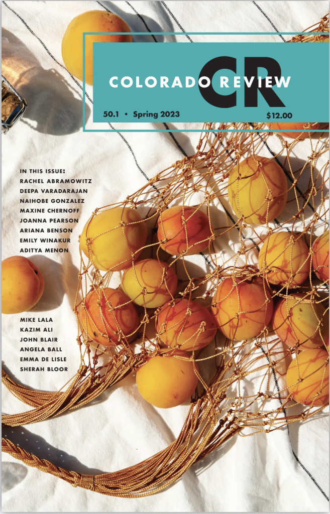 20 Years of Literary Magazines - Community of Literary Magazines and ...